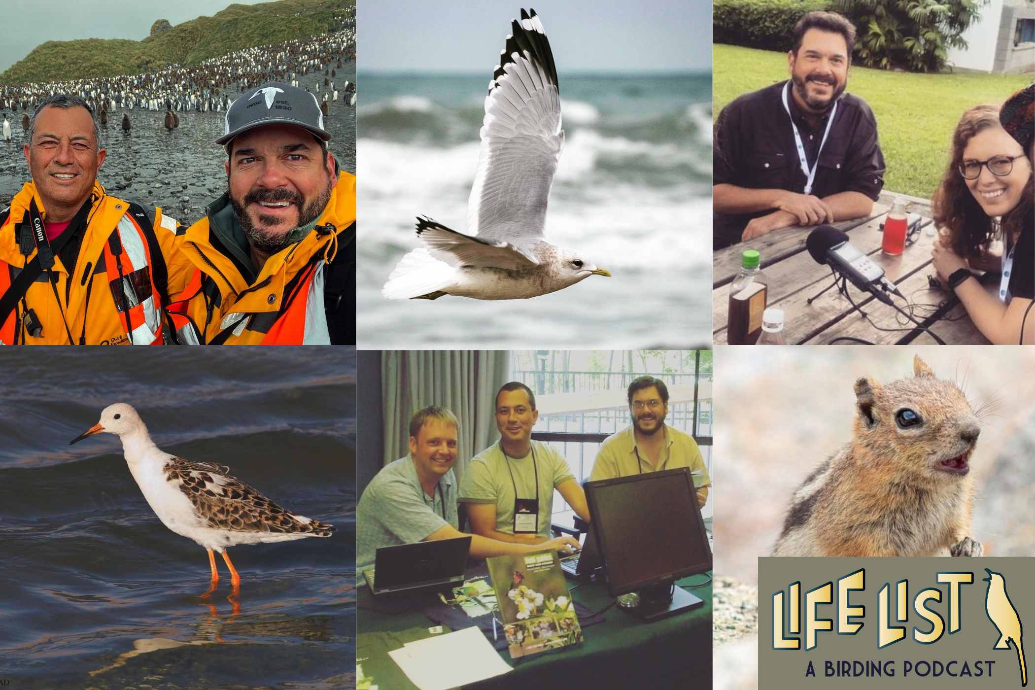Home - Life List: A Birding Podcast